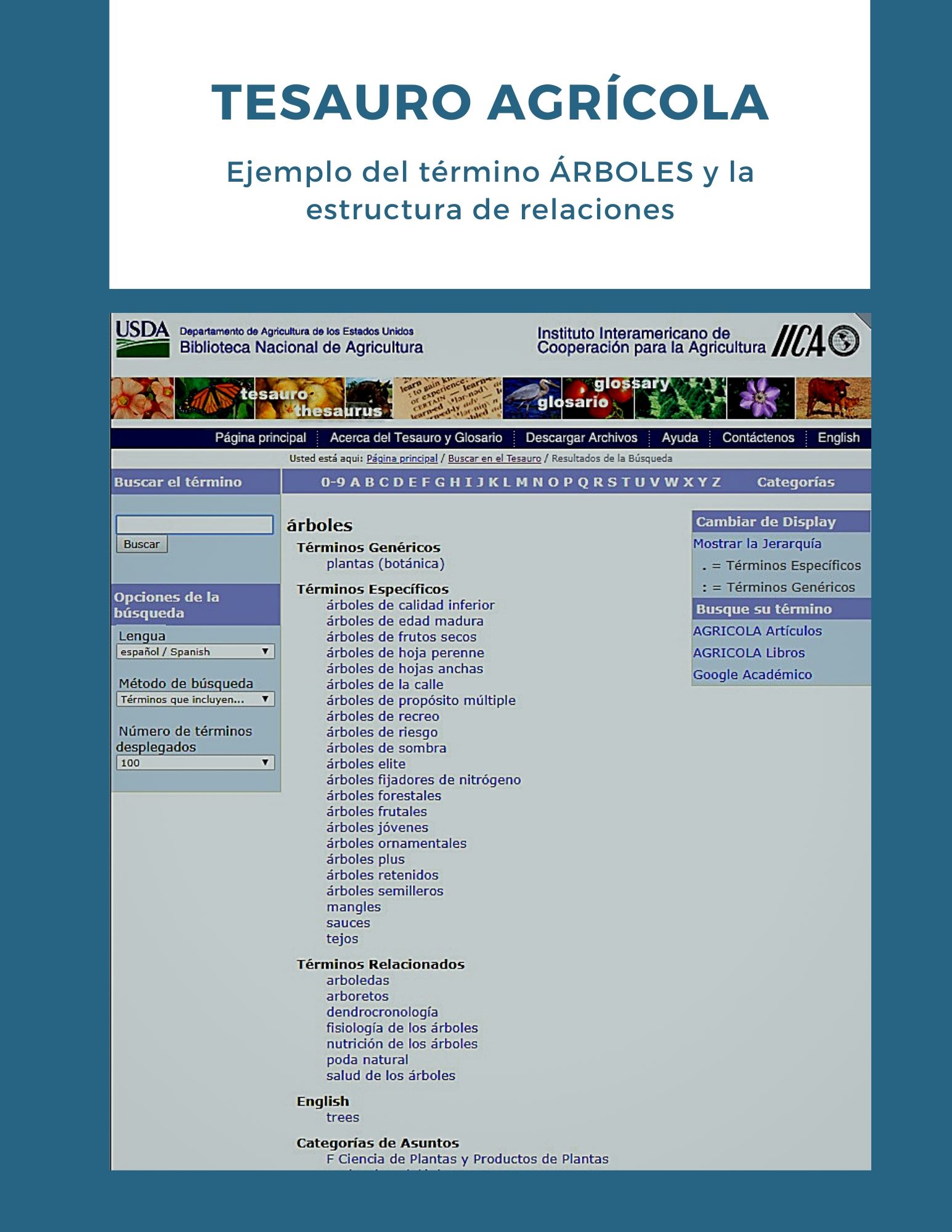 ¿Por qué consultar tesauros cuando se busca información o se escribe un ...